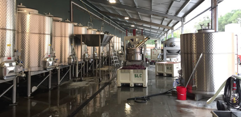 Wine making process step by step – Winetoday.org » Wine-Today